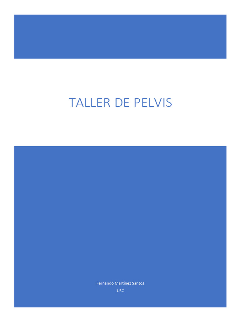 Anatomia Taller Pelvis Pdf