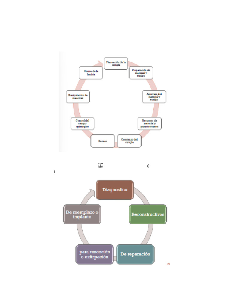 Transoperatorio | PDF