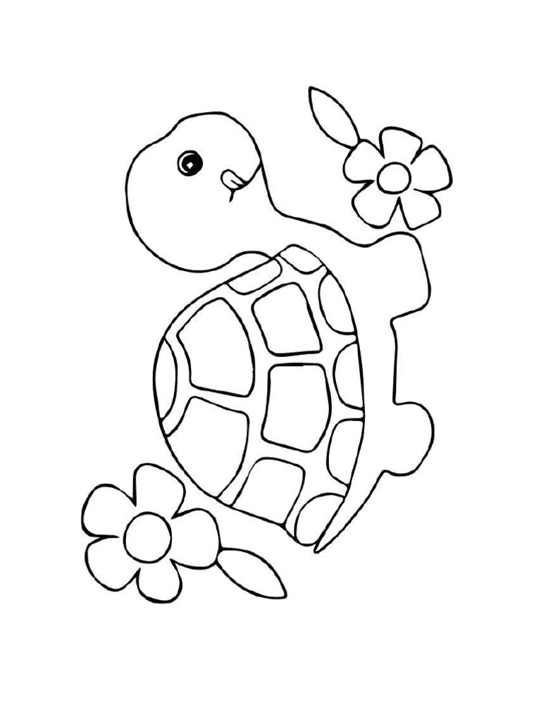 Tortuga Ara Colorear | PDF