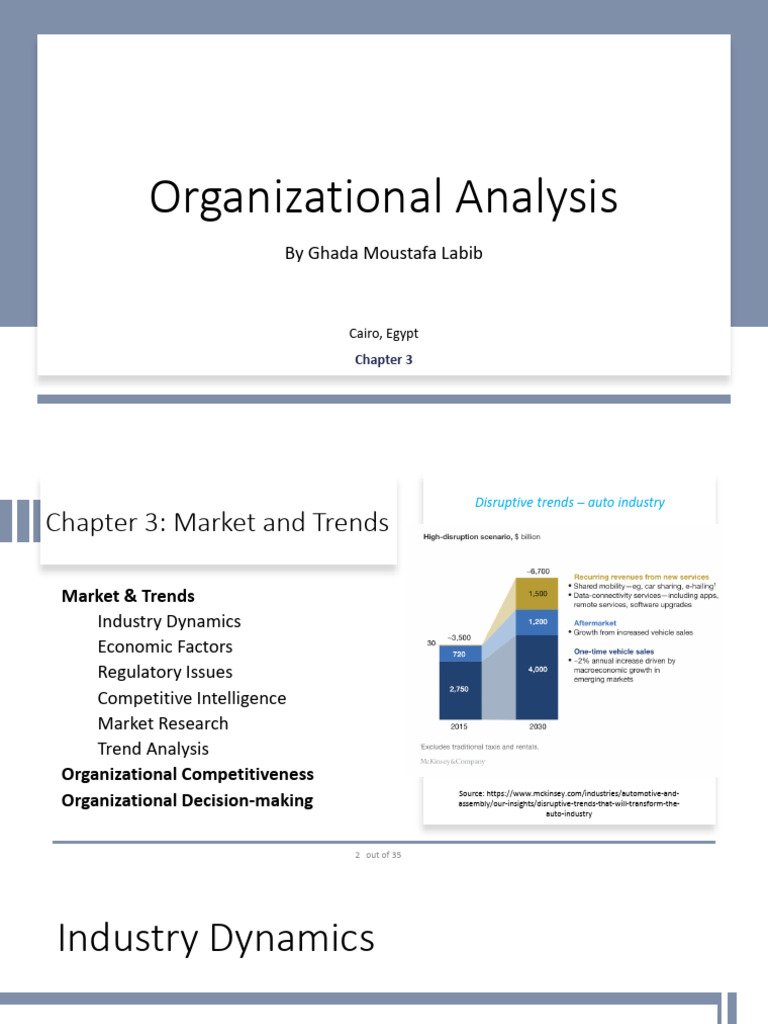 Organizational Analysis | PDF