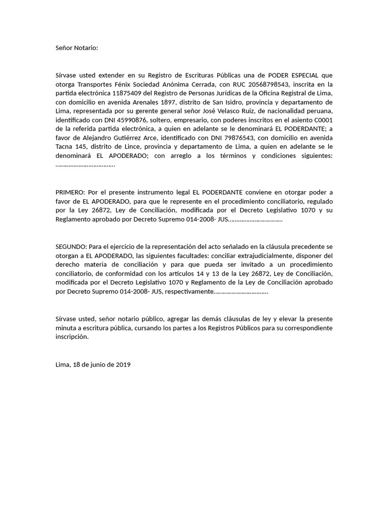 Modelo de Poder Especial | PDF