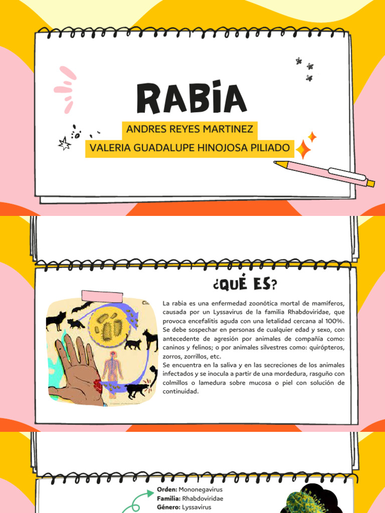 Rabia | PDF | Rabia | Enfermedades y trastornos