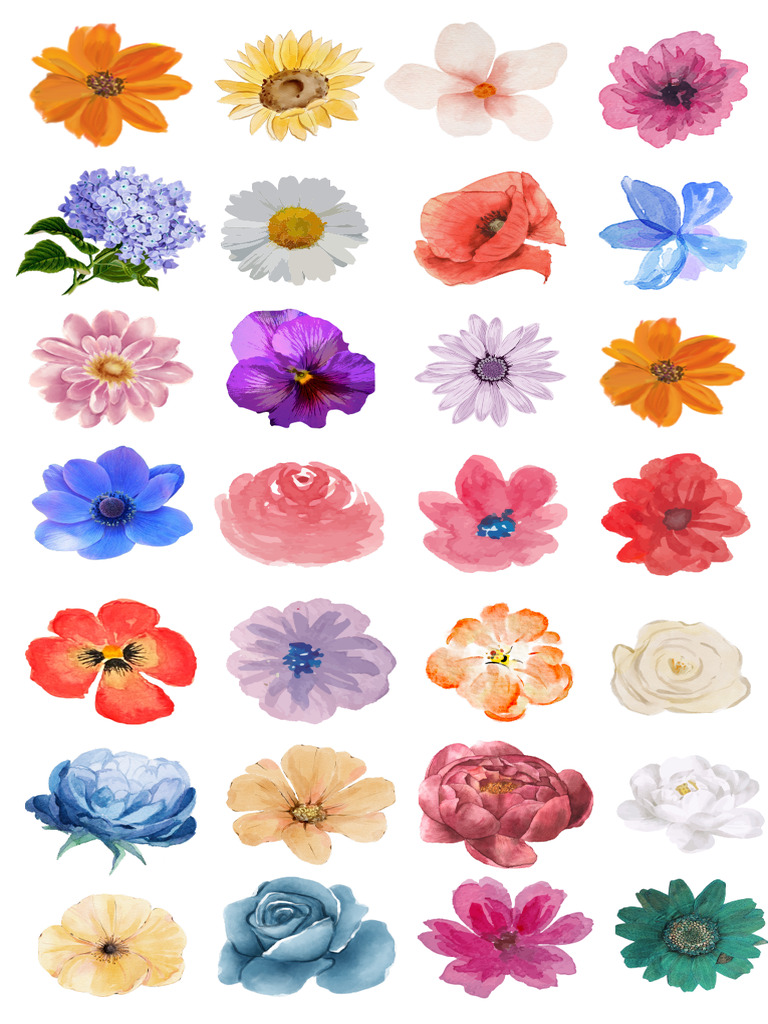 Flores | PDF