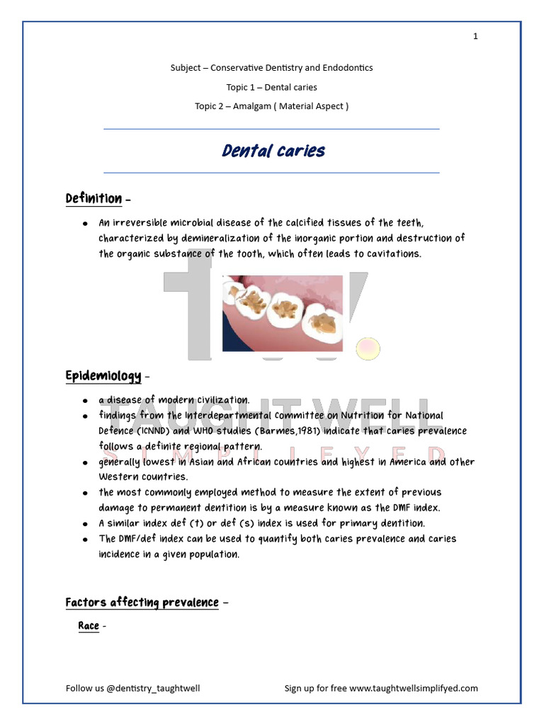 Sample Notes PDF | PDF
