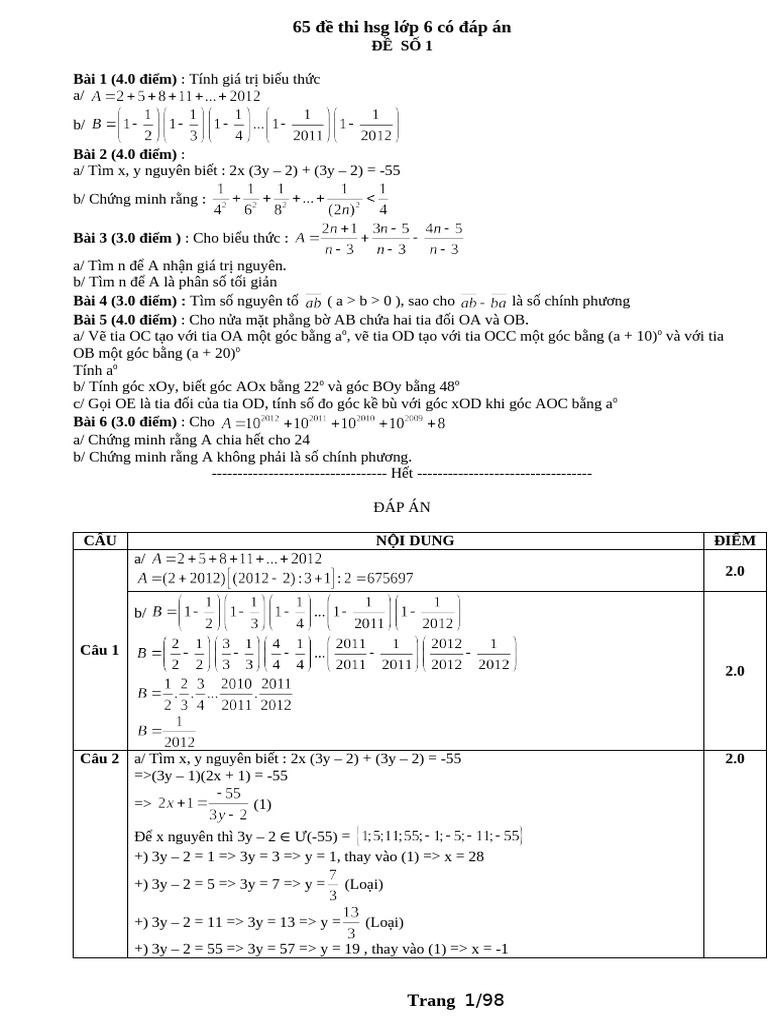 65 đề thi HSG toán 6 | PDF