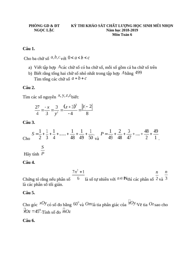 071 - Đề HSG Toán 6 - Ngọc Lặc - 2018-2019 | PDF