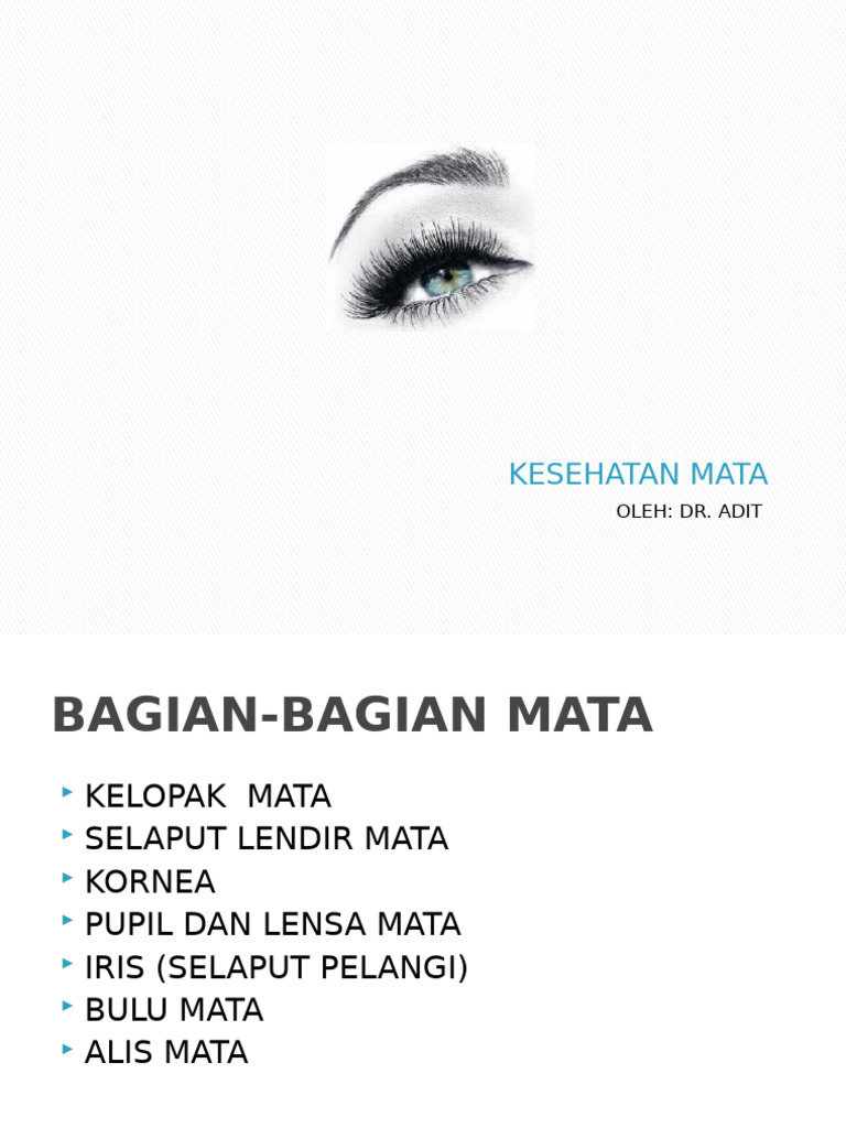 Kesehatan Mata | PDF