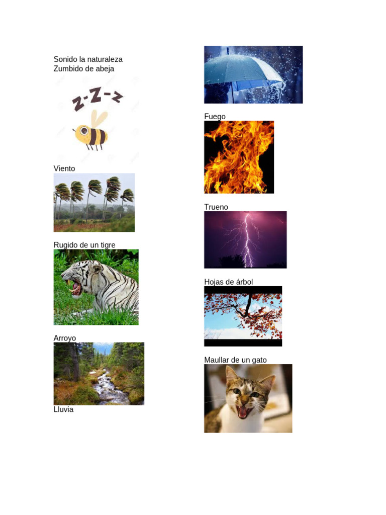 Sonidos Naturales y Artificiales | PDF