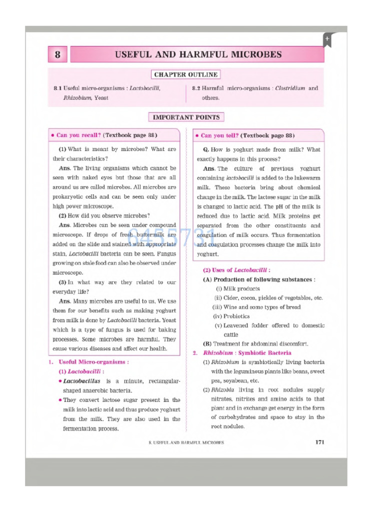 8 Useful And Harmful Microbes Pdf