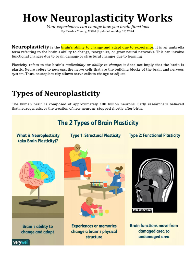 NEUROPLASTICITY Verywellmind | PDF