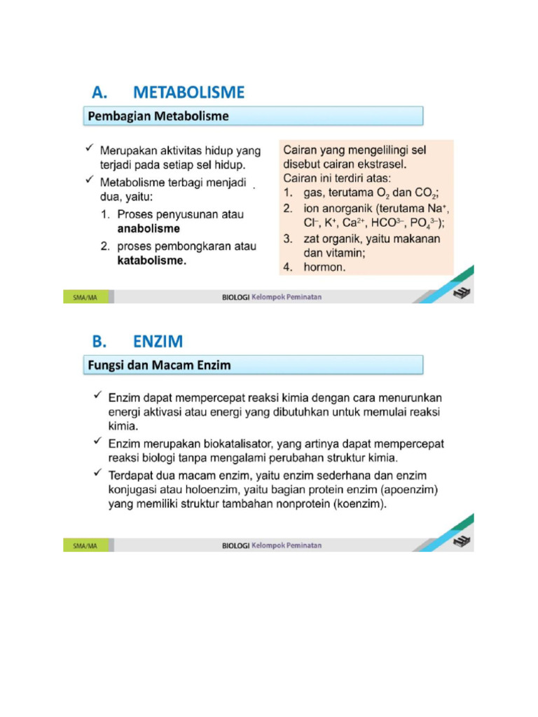 Enzim & Metabolisme | PDF