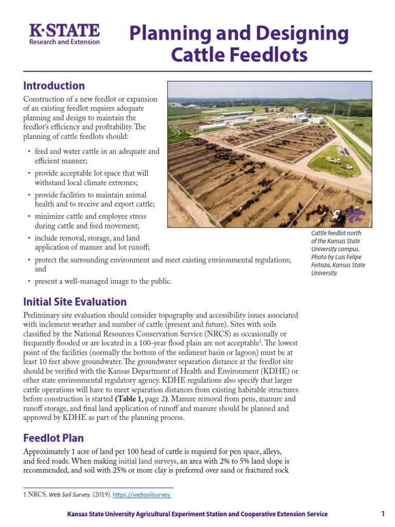 Designing Efficient Cattle Feedlots | PDF | Cattle | Natural Resources ...