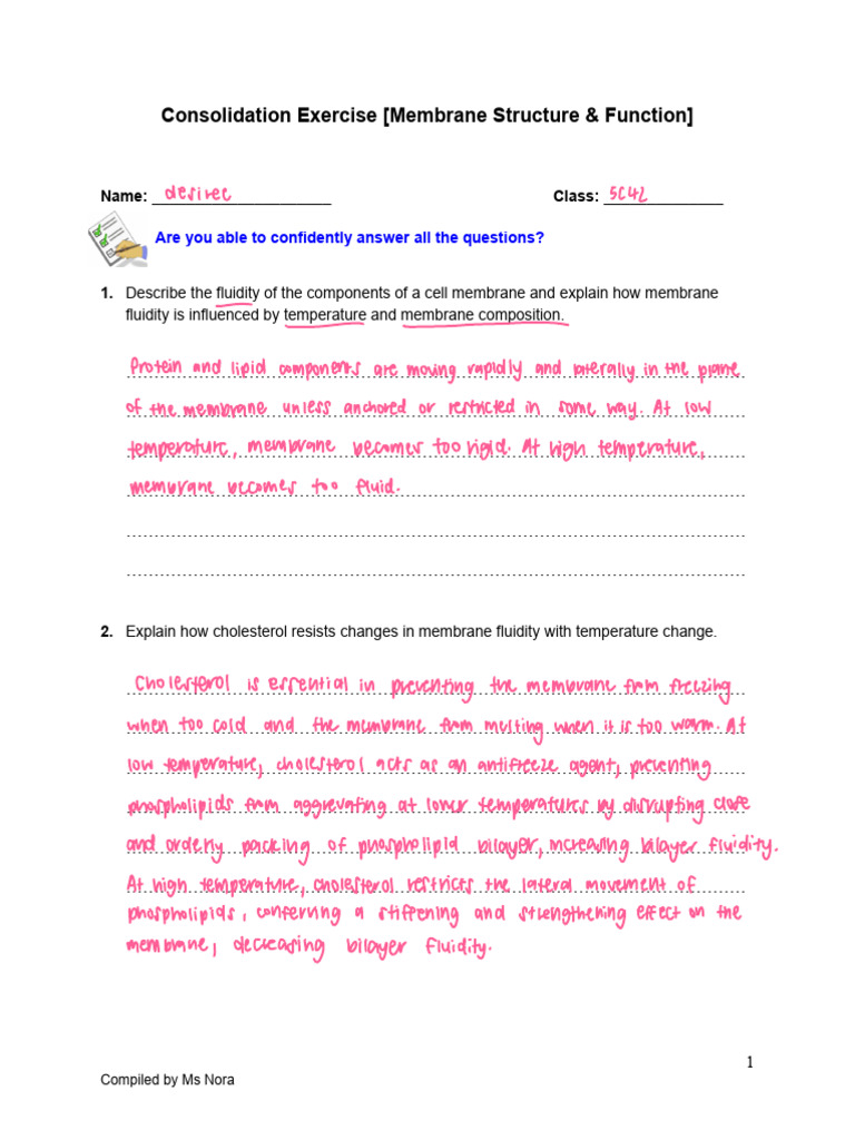 Consolidation Exercise - Membrane Structure and Function | PDF
