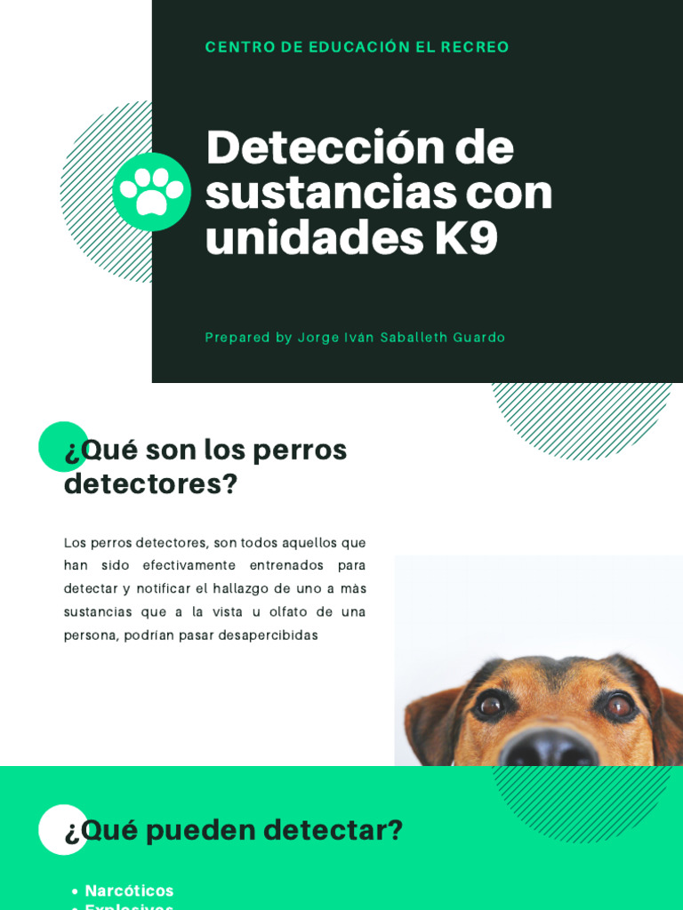Presentacion K9 Deteccion | PDF