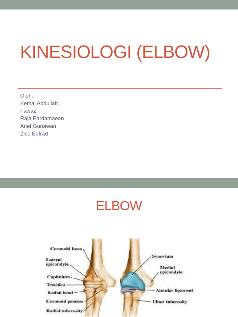 Kinesiologi (Elbow) | PDF