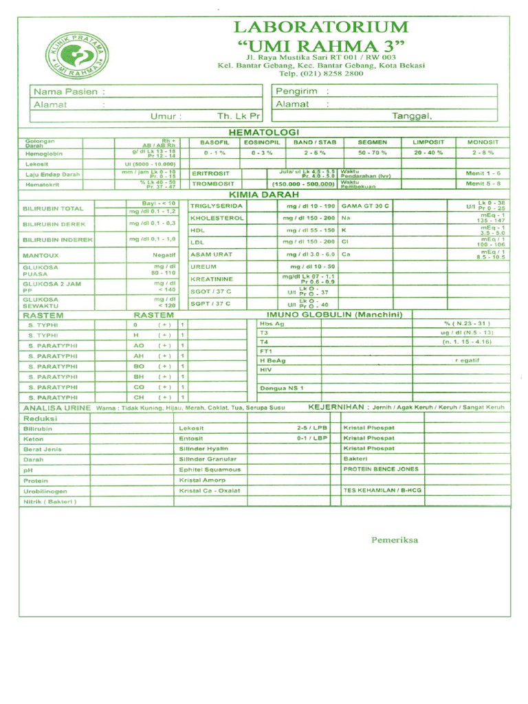 FORMAT HASIL LAB Baru | PDF