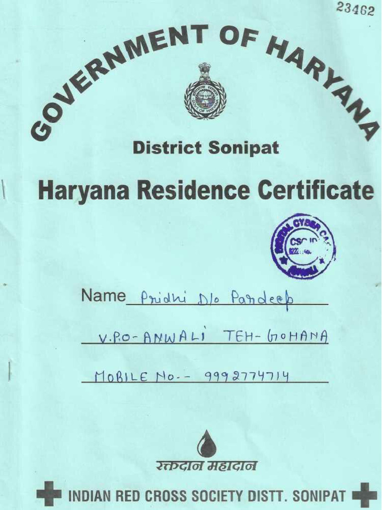 Pridhi Domicel File | PDF