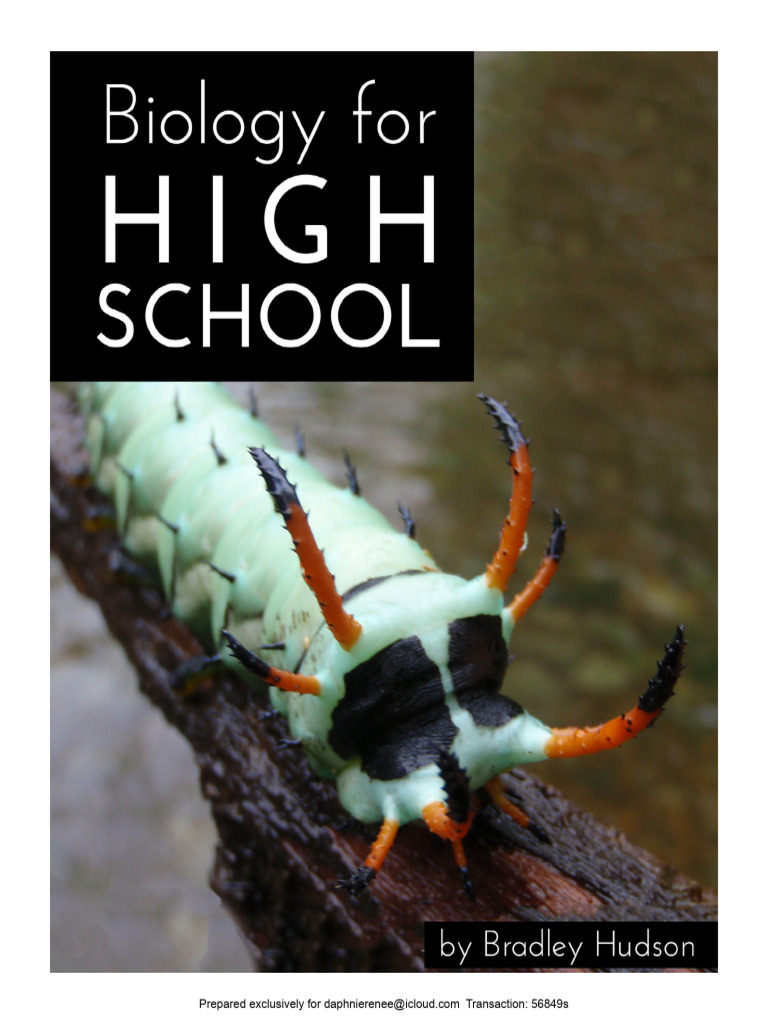 EBHS Guide | PDF