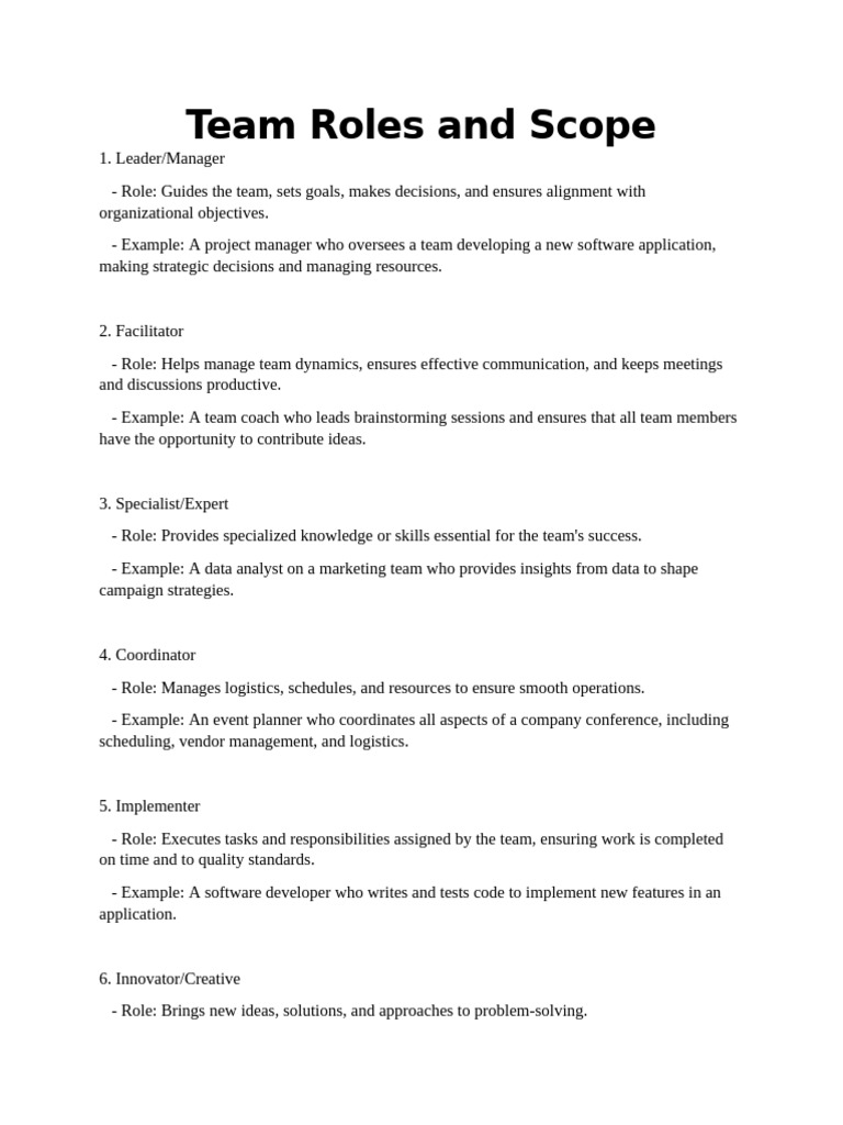 Team Roles and Scope | PDF