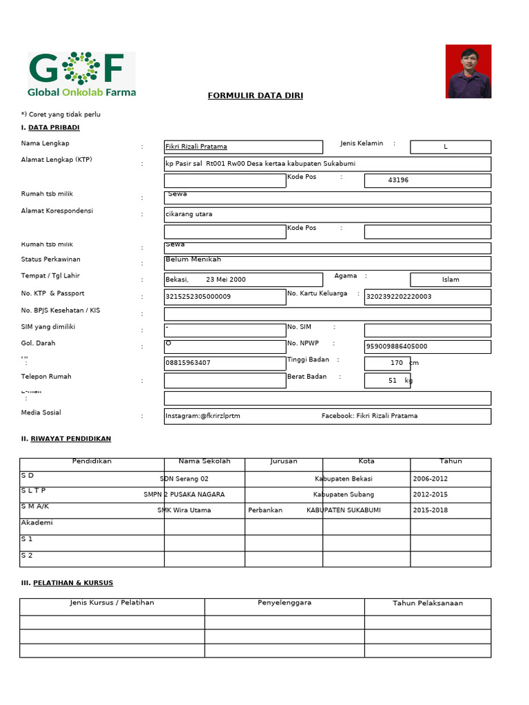 Form Data Diri - GOF | PDF