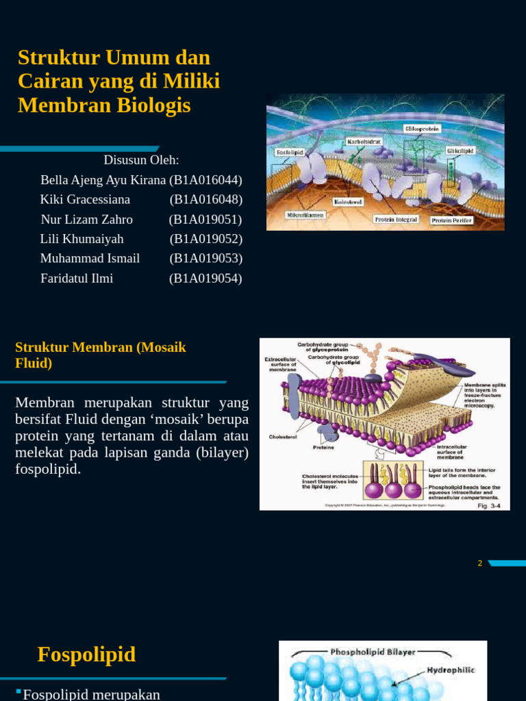 Biodas | PDF | Cell Biology | Membrane Biology