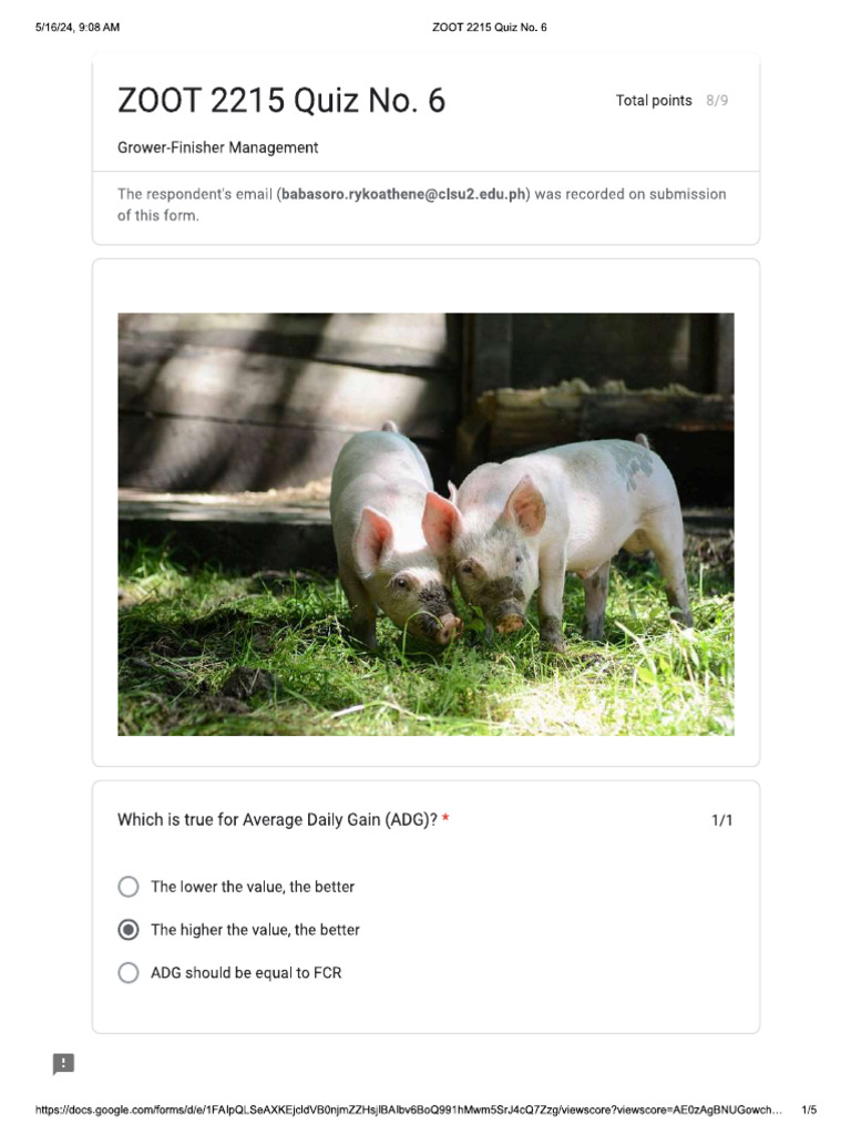 Quiz 6 Swine Lec | PDF