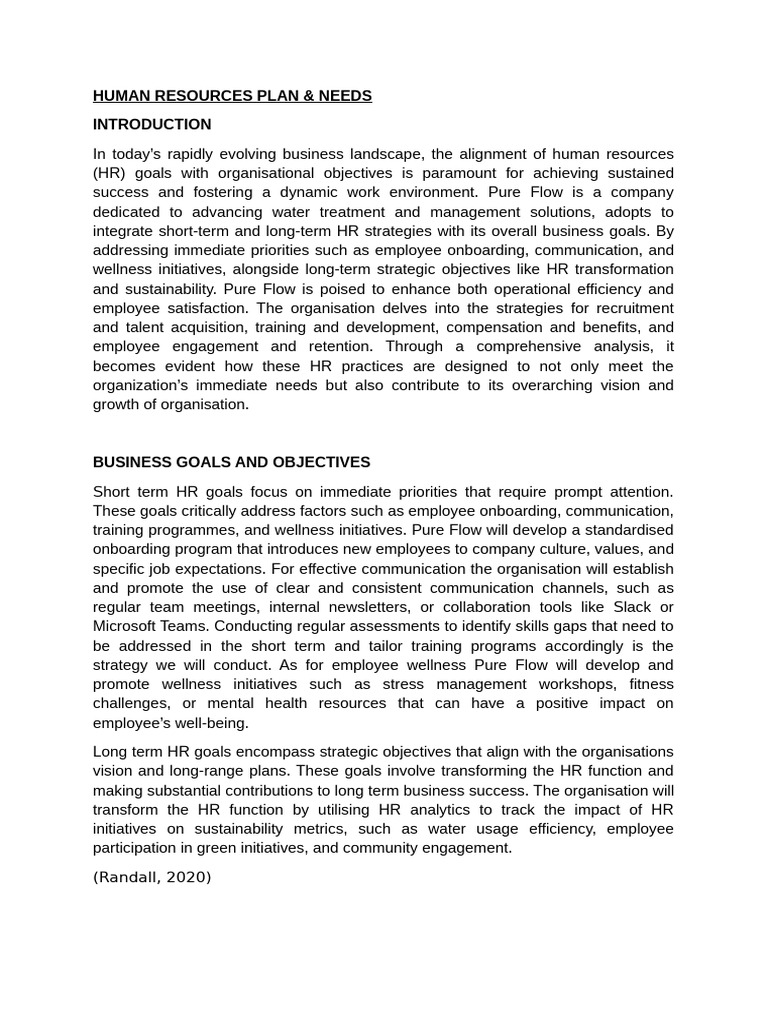 Human Resources Plan | PDF