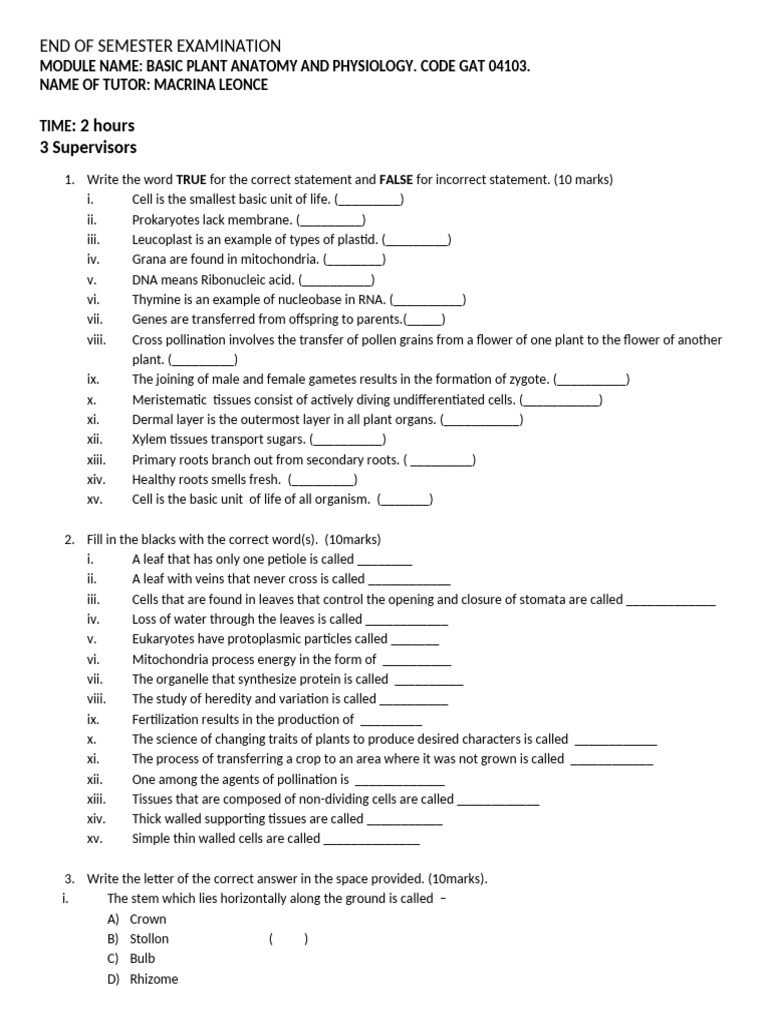 Plant Anatomy And Physiology Jan 2021 Pdf