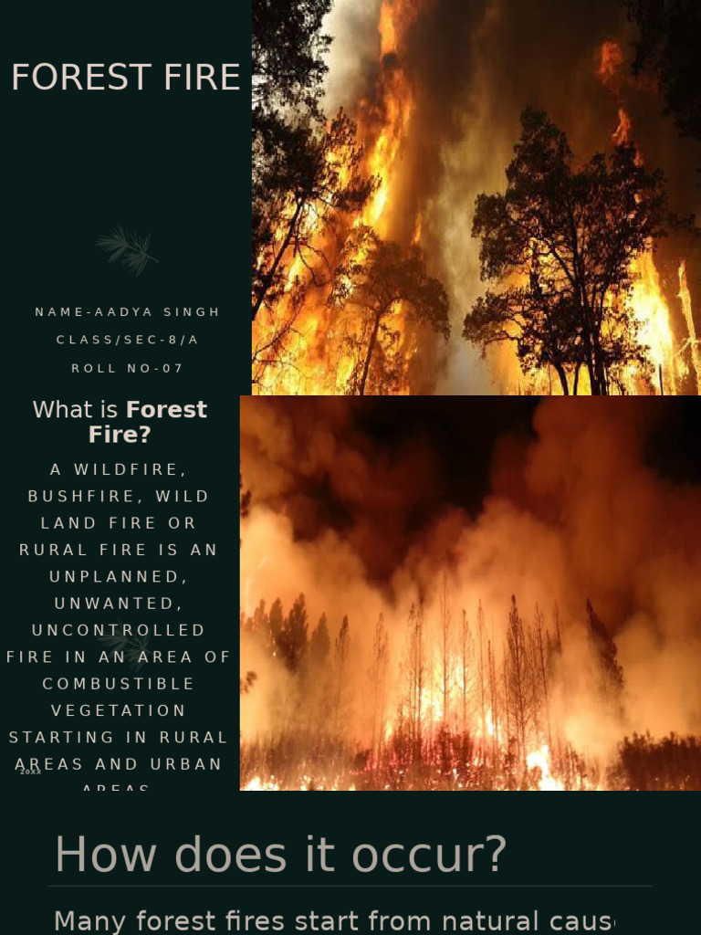 FOREST FIRE | PDF