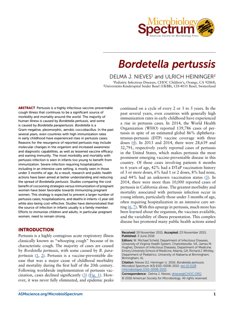 B Pertusis | PDF