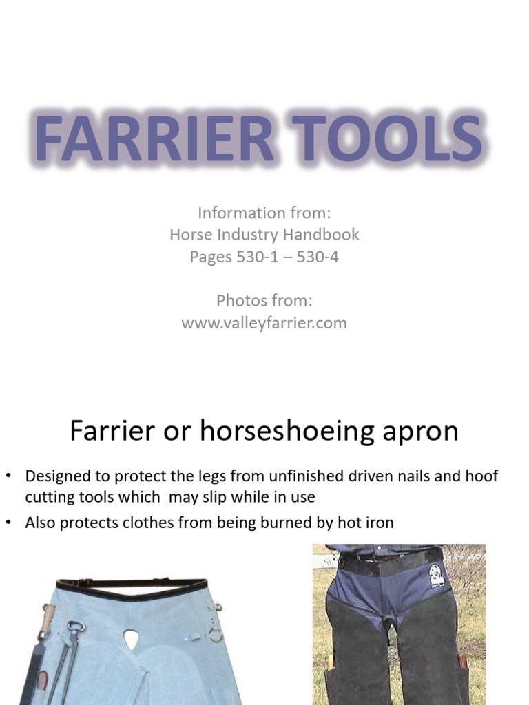 Hippology and Horse Farrier Tools | PDF