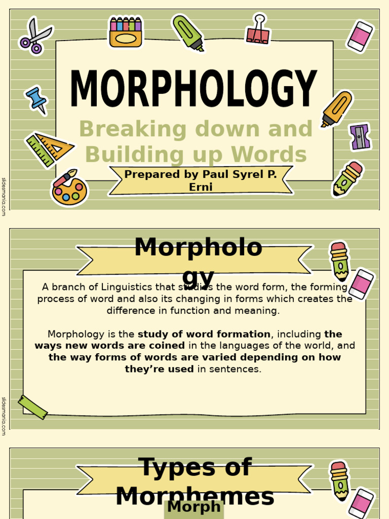 Morphology | PDF