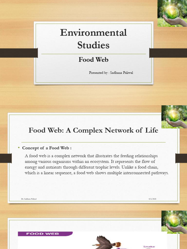 food web | PDF