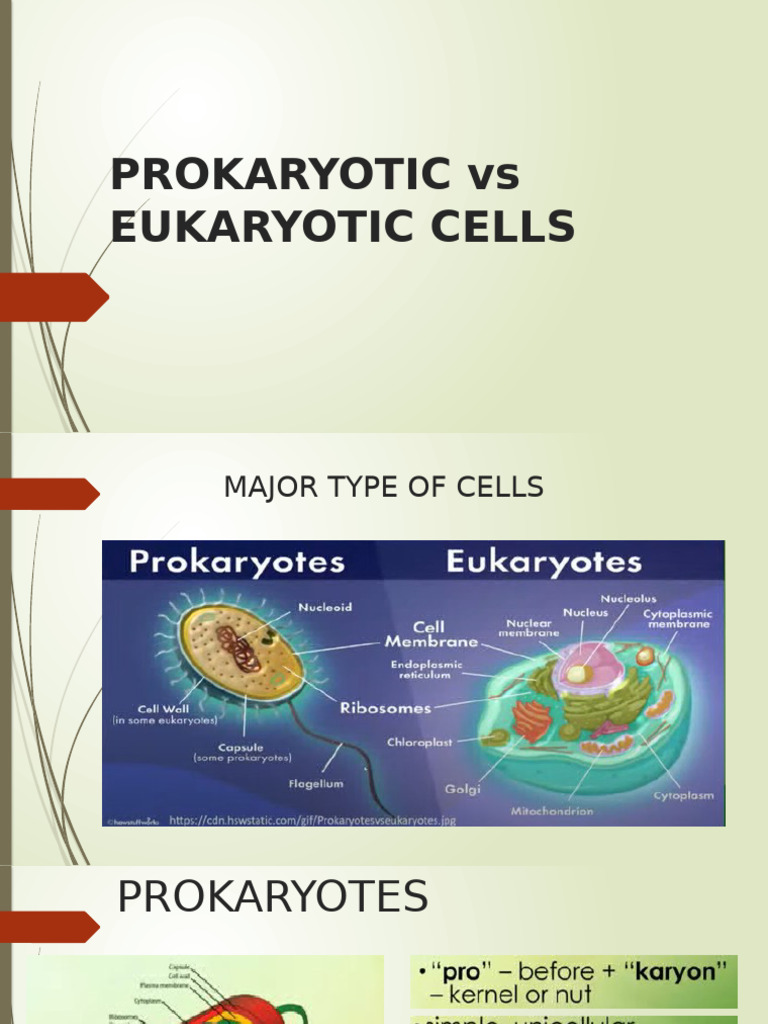 Cell Types and Cell Modifications | PDF