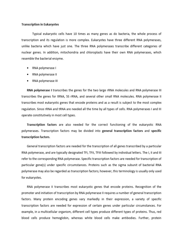 Transcription in Eukaryotes | PDF