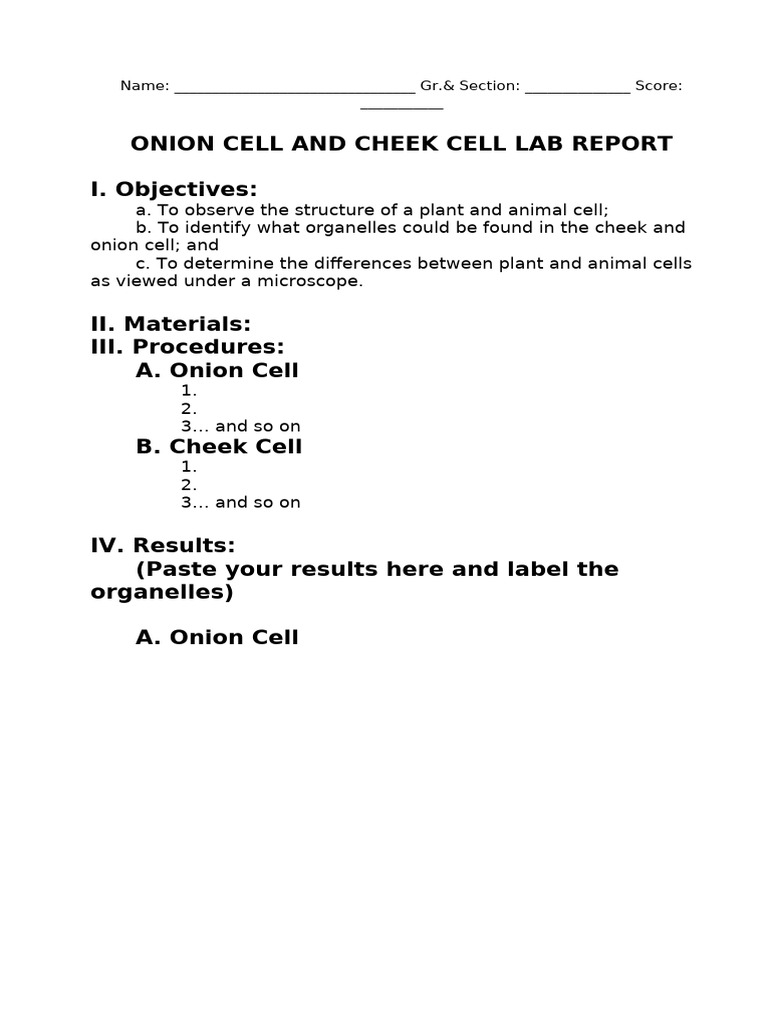 onion-and-cheek-cell-lab-report-template | PDF