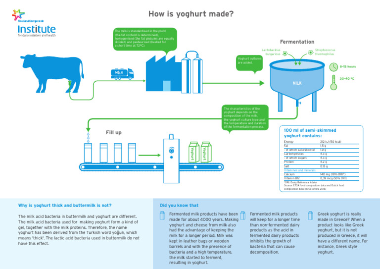 Yoghurt Infographic v2 2 | PDF