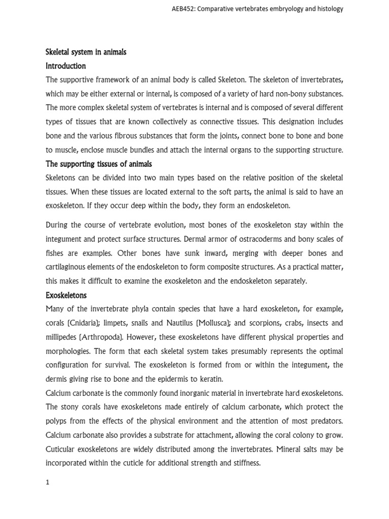 INTRODUCTION To Skeletal System | PDF | Vertebral Column | Vertebra