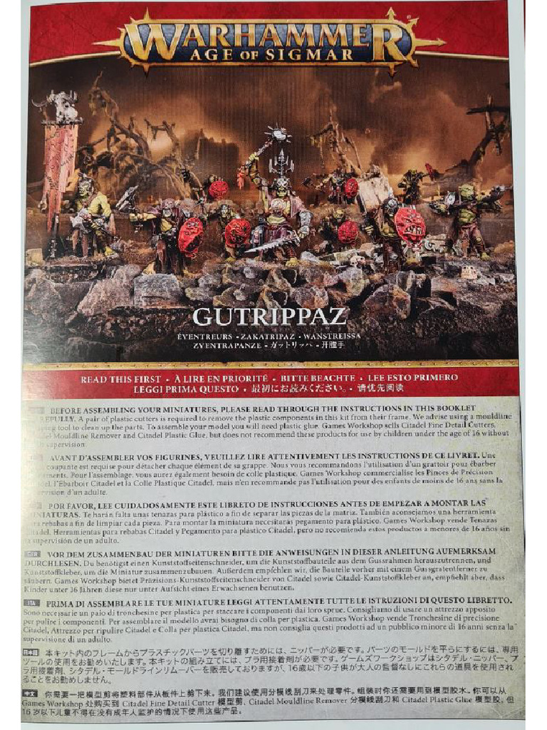 GUTRIPPAZ | PDF
