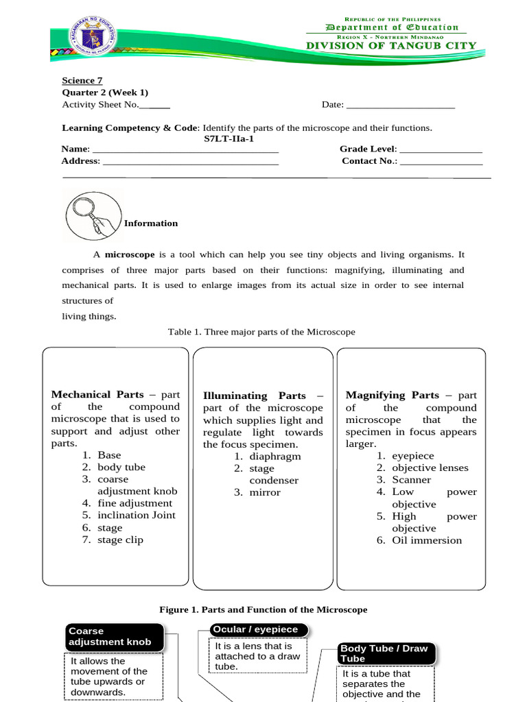 SCIENCE 7 Week 1 Q2 | PDF