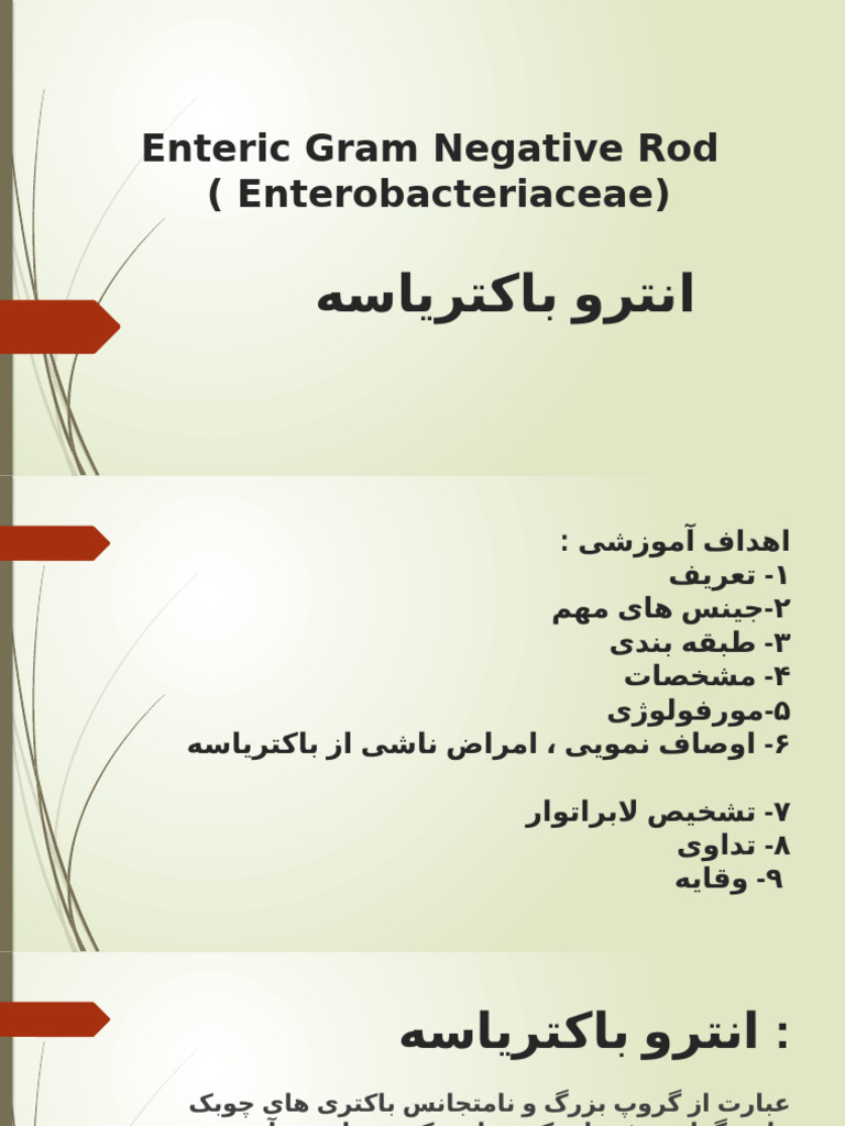 Enterobacteriaceae | PDF