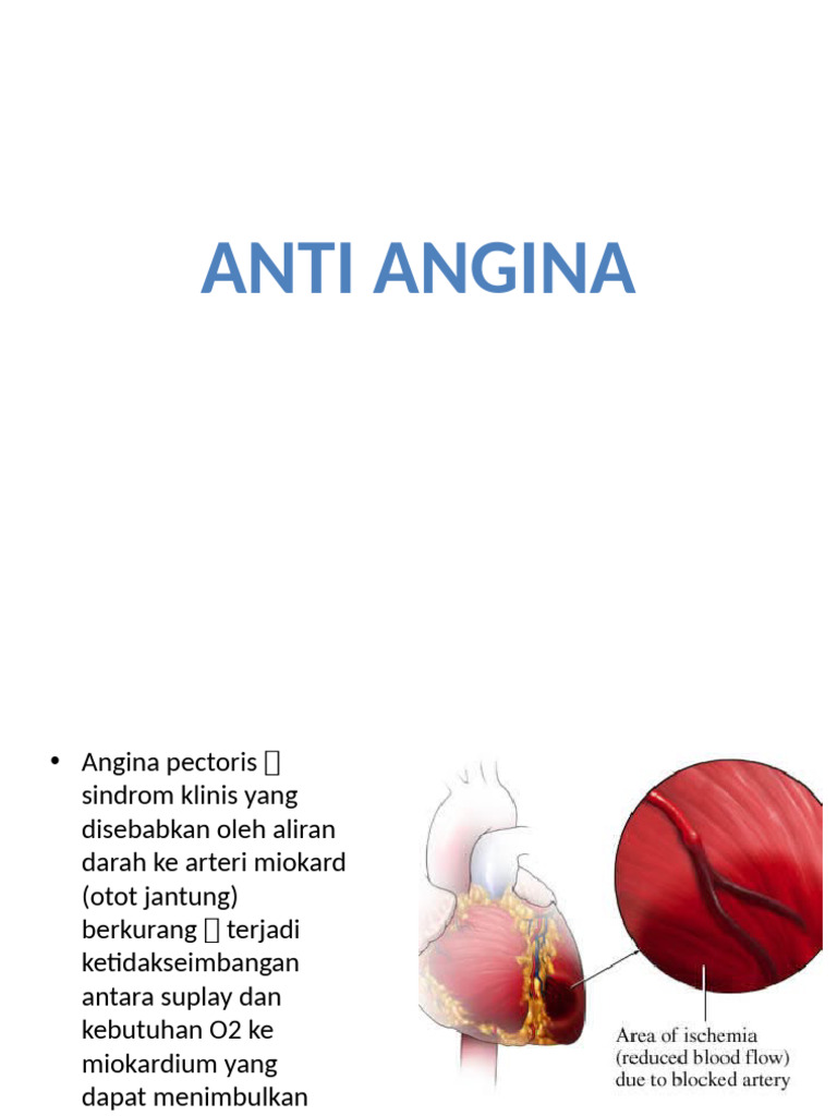 Anti Angina | PDF