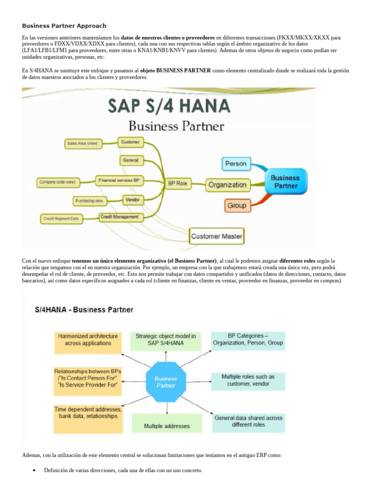 Business Partner Approach | PDF