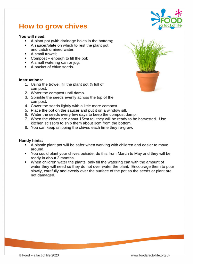 How To Grow Chives | PDF