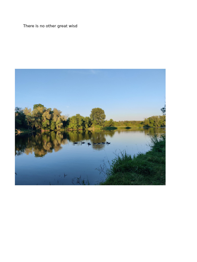 Wisdom Notes Part 5 | PDF