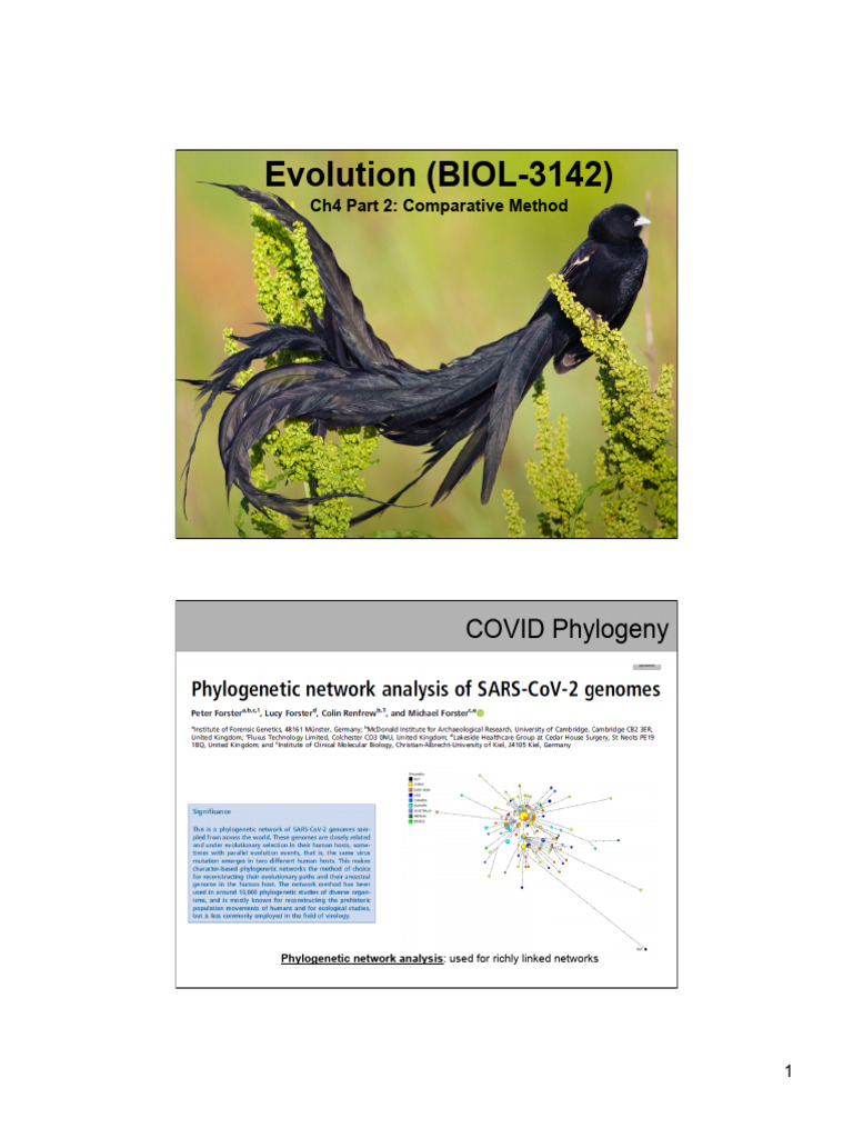 BIOL3142 Lecture Slides Chapter 4 Part 2 | PDF