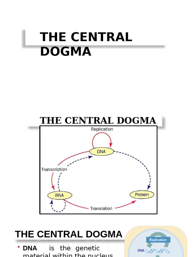 Central Dogma | PDF