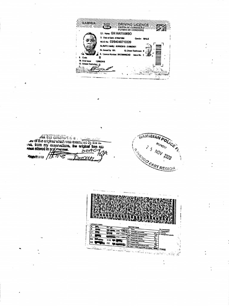 driver licence | PDF