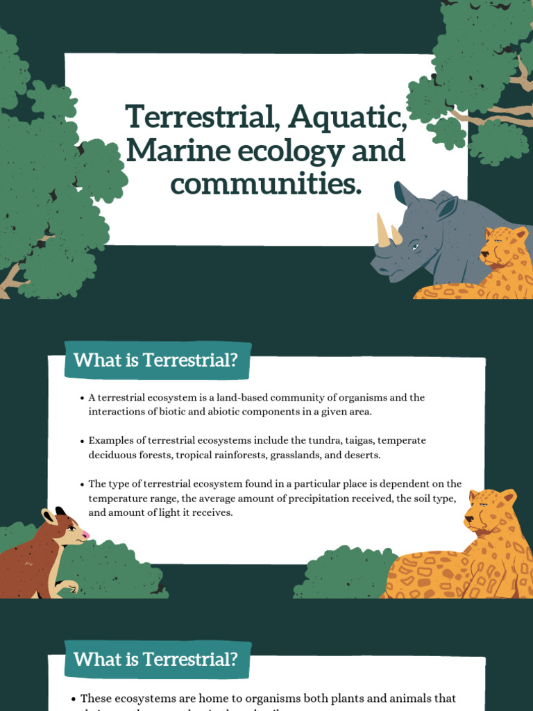 GROUP 4 Terrestrial Aquatic Marine Ecology | PDF