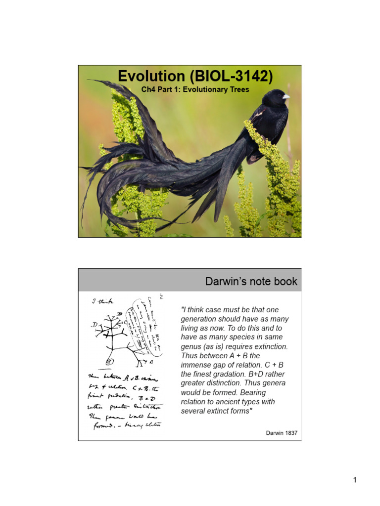 BIOL3142 Lecture Slides Chapter 4 Part 1 | PDF